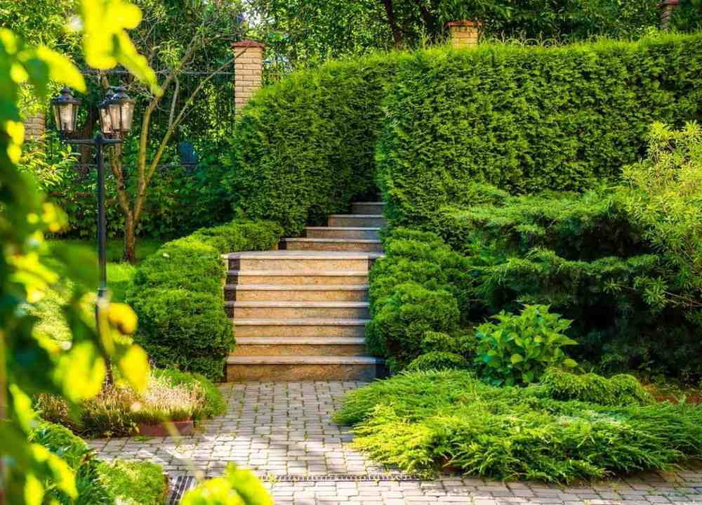 Landscape Ground Cover: Key to Stunning Commercial Spaces